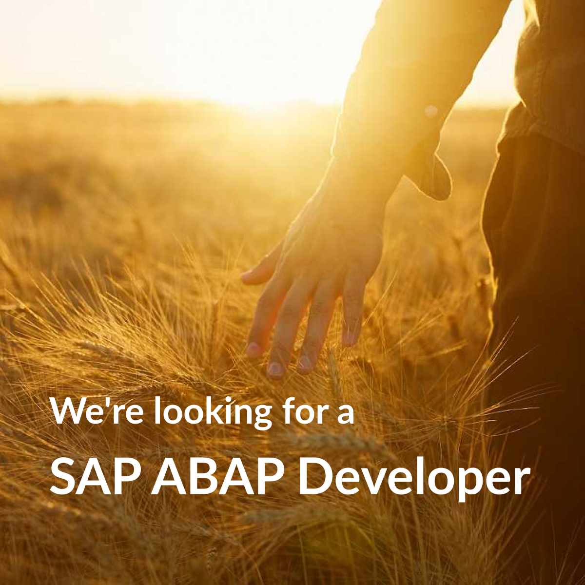 SAP ABAP Developer - Stockholm